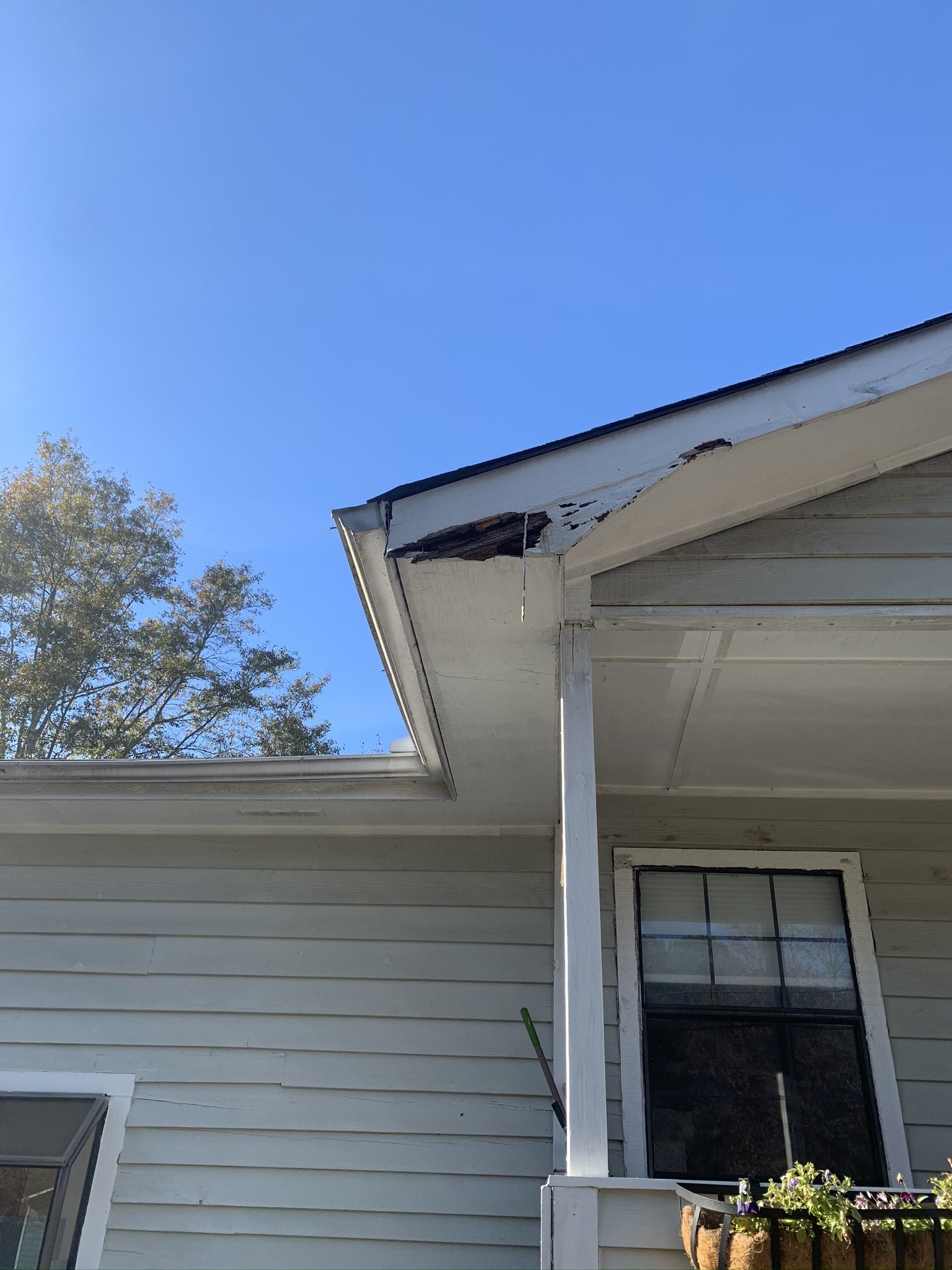 Affordable Guaranteed Wildlife Exclusion - Critter Proofing