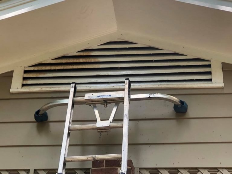 Affordable Guaranteed Bat Removal - Humane Bat Control