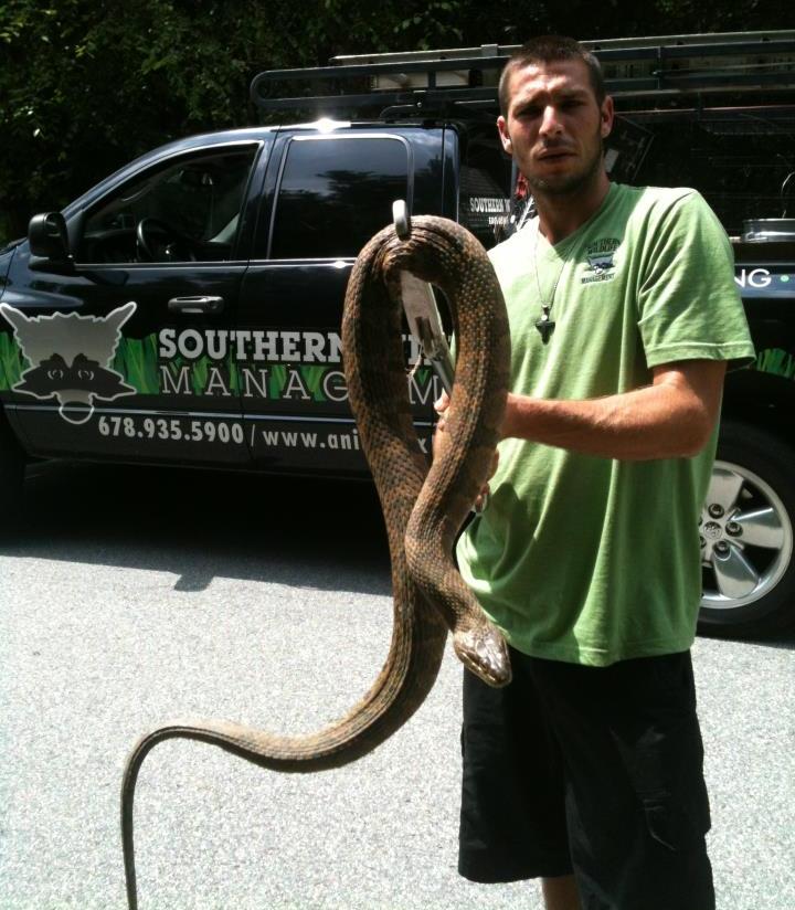 Humane Snake Removal from Alpharetta to Dawsonville